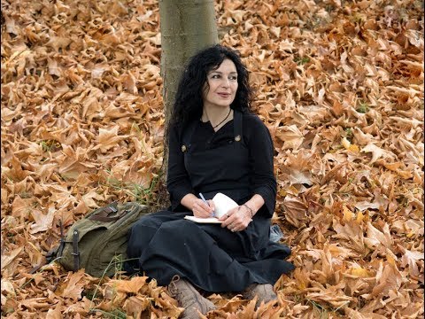Yerli Yersiz Cümleler | Nazan Bekiroğlu