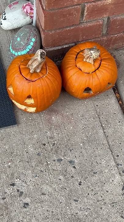 Pumpkins and Jack-O-Lanterns on Halloween 10/31/24 - YouTube