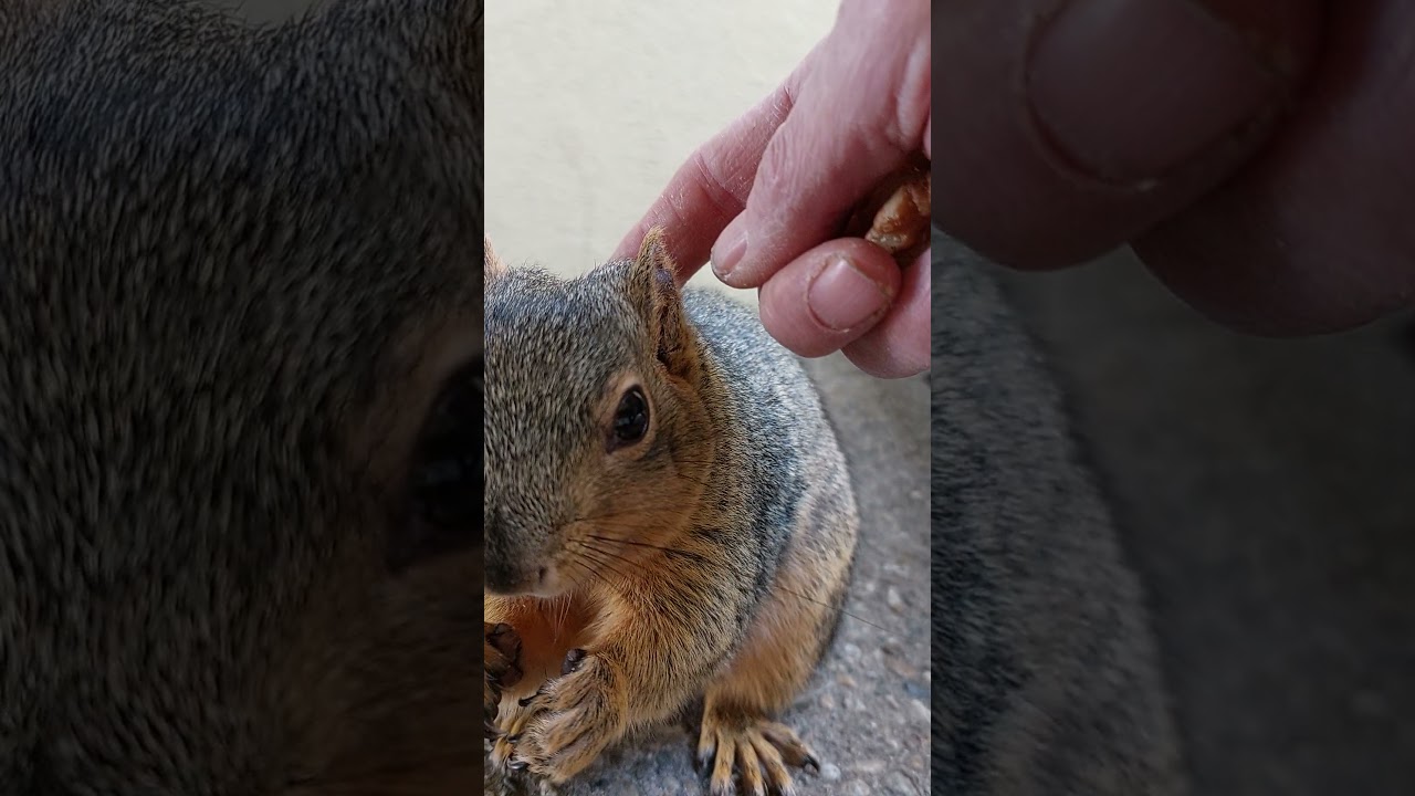 My little Notch girl - YouTube