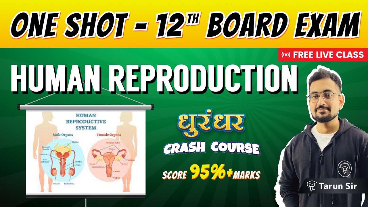 Human Reproduction in One Shot |Class 12 Biology | DHURANDHAR BATCH ...