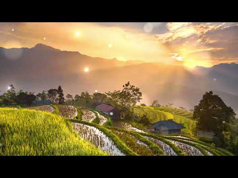 Düş Sokağı - Kırık Kalp [ enstrümantal ]