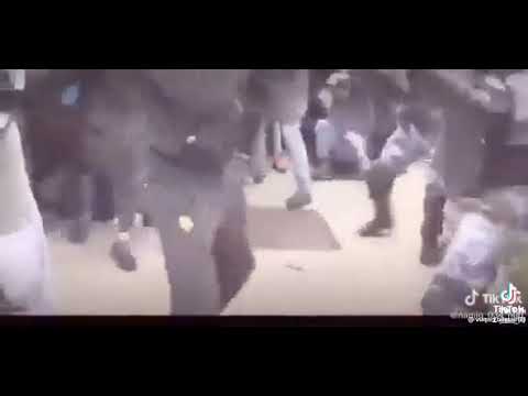 dava videosu