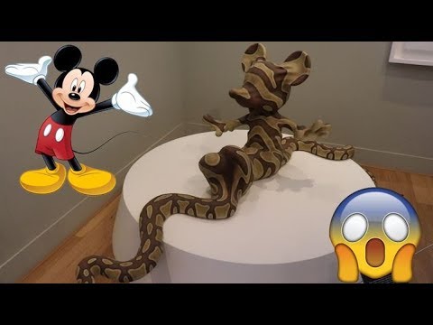 The snake has eaten Mickey Mouse - YouTube