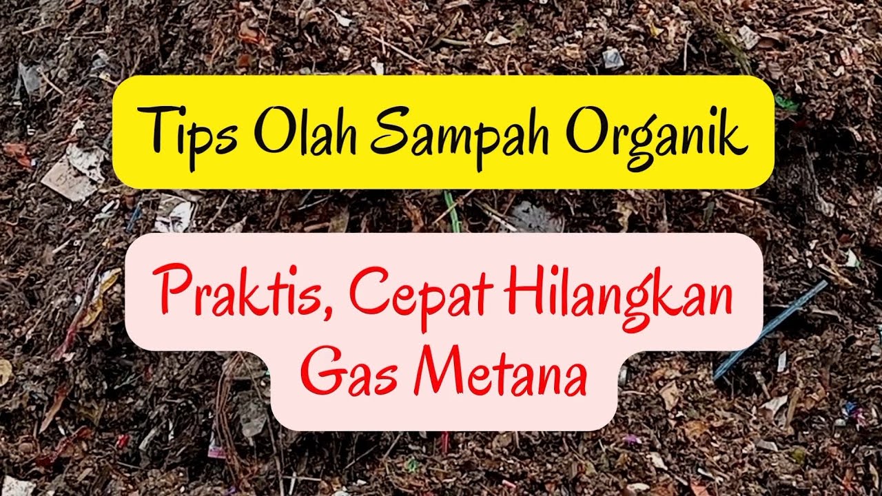 Cara Olah Sampah Organik Agar Cepat Hilangkan Gas Metana - YouTube