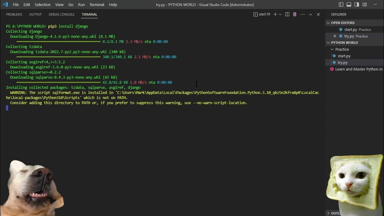 HOW TO INSTALL DJANGO MODULE USING MICROSOFT VS CODE IN TERMINAL | PYTHON TUTORIAL 006 - YouTube