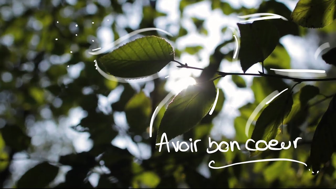 Comment avoir bon coeur - YouTube