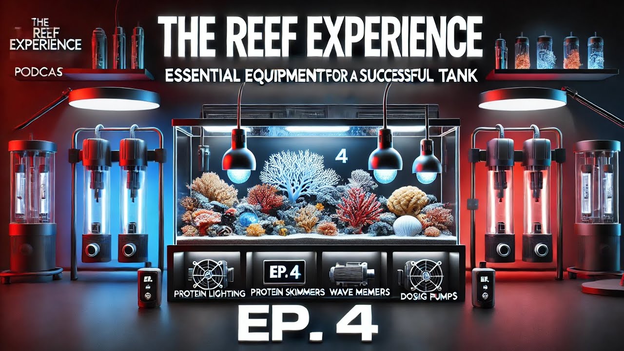 The Reef Experience Podcast – Episode 4: Must-Have Equipment for a ...
