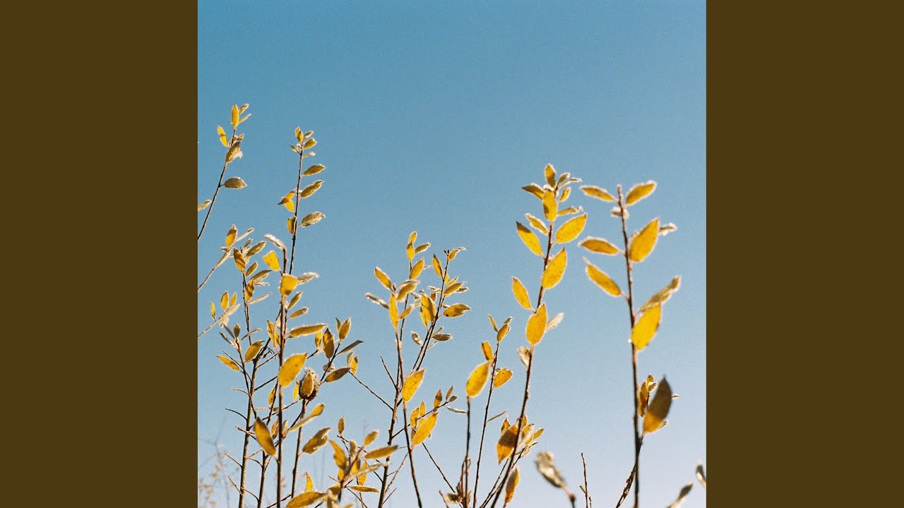 winter flowers - YouTube