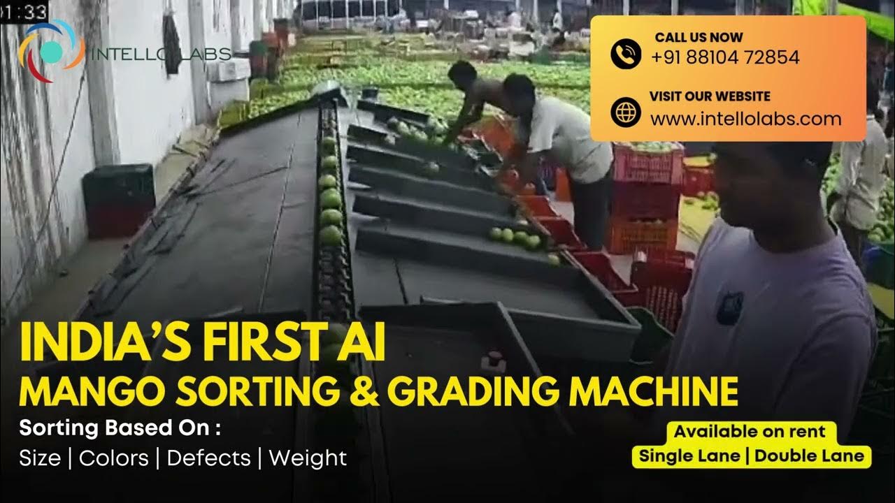 🌟 Introducing India’s First AI-Powered Mango Sorting & Grading Machine – Opex Model! 🌟 - YouTube