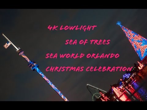 [4K] Sea Of Trees Light Show At Sea World Orlando Christmas Celebration ...