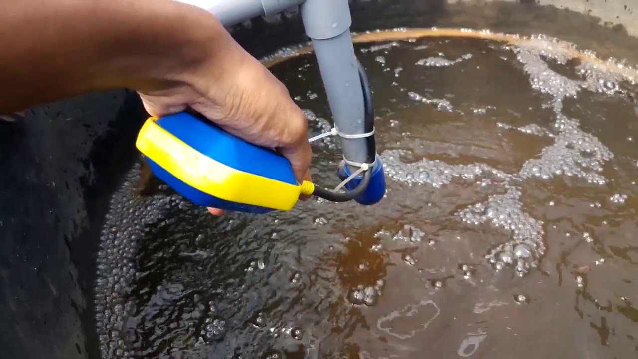 Float Switch untuk Pam Air ke Tangki - YouTube
