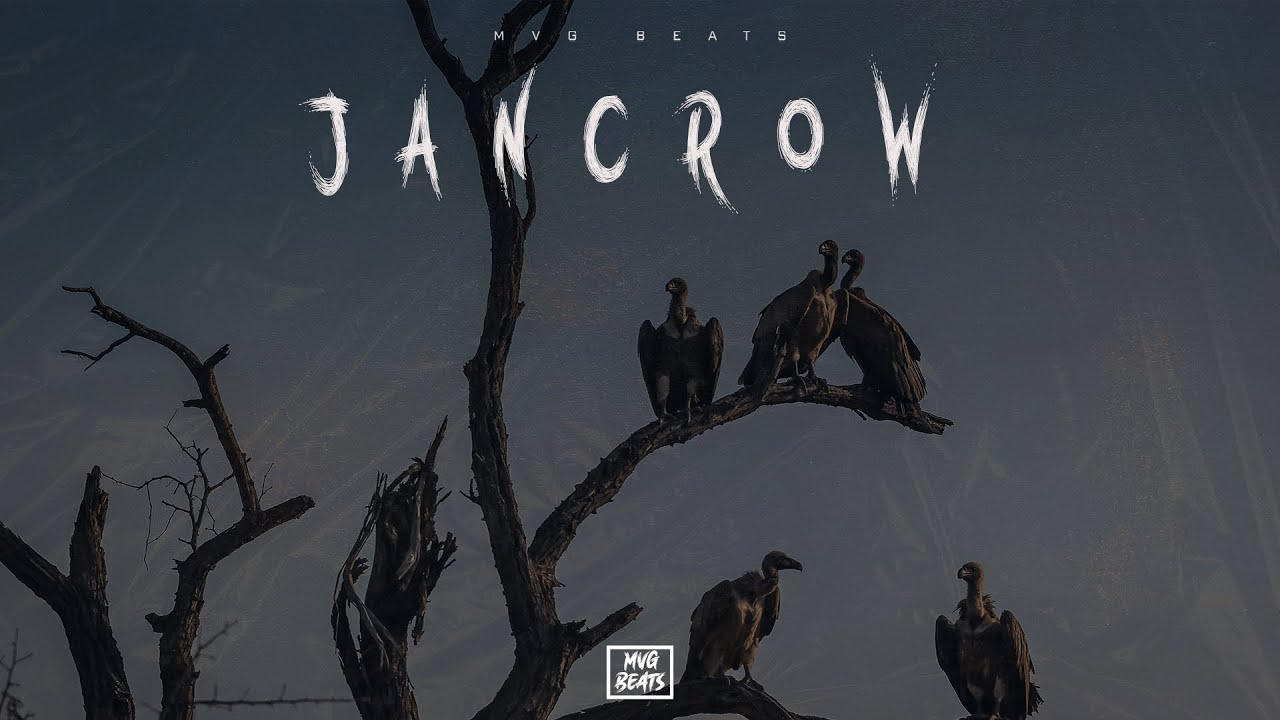 Najeerii x Skeng x Rajah Wild Dancehall Riddim 2024 "Jancrow" (MVG ...