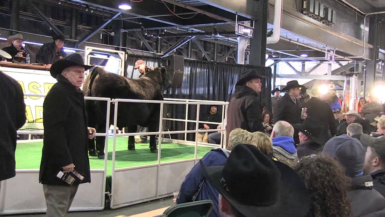 NWSS 2016: Bases Loaded Sale - YouTube