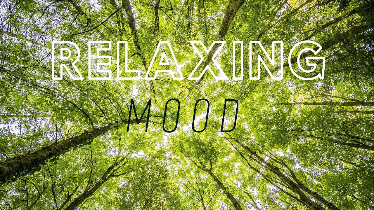 RELAXING MOOD - SLEEPING|NATURE SOUND|STUDY|MEDITATION - YouTube