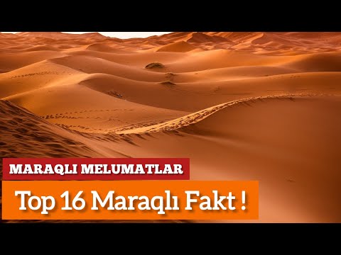 Top 16 Maraqli Fakt - Maraqli Melumatlar