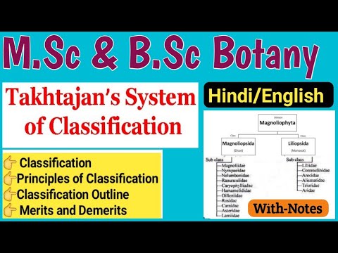 Takhtajan Classification of Angiosperms / BSc 2nd year Botany 1st Paper ...