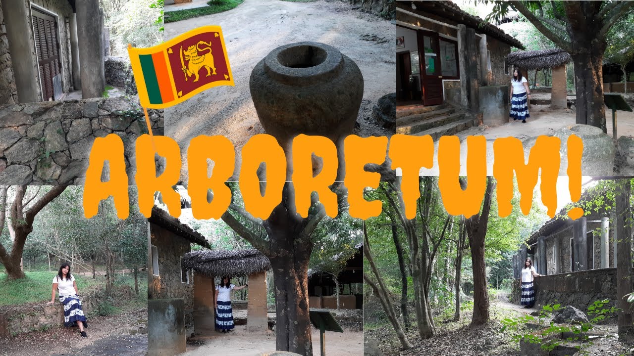 JUNGLE TRAIL || ENCOUNTER with THE VAMPIRE BATS || POPHAMS ARBORETUM ...