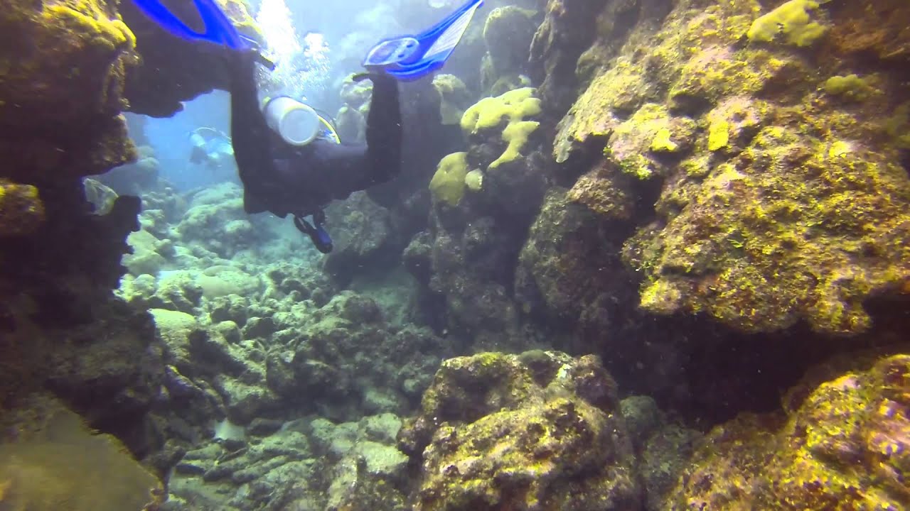 "Hole in The Wall" Roatan - YouTube