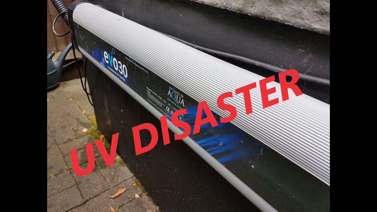 Disaster Changing UV Bulb - YouTube