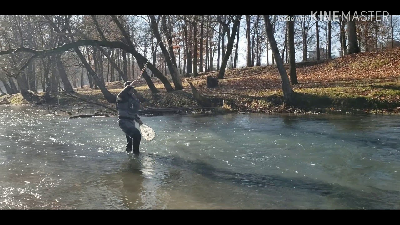 Nov 24, 2019 - YouTube