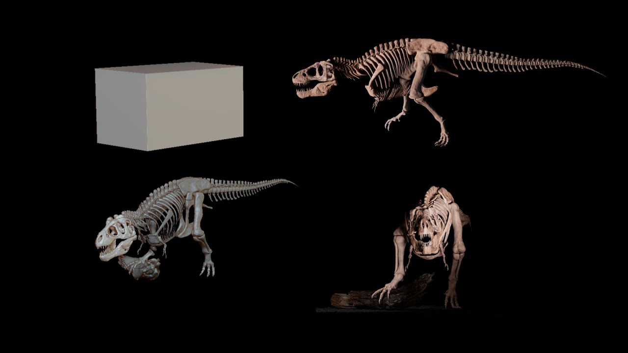 Sculpting the Most Iconic of Dinosaurs: Tyrannosaurus Rex Skeleton ...