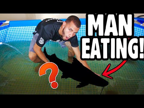 REAL LIFE RIVER MONSTER for the RANCH POOL POND!! - YouTube