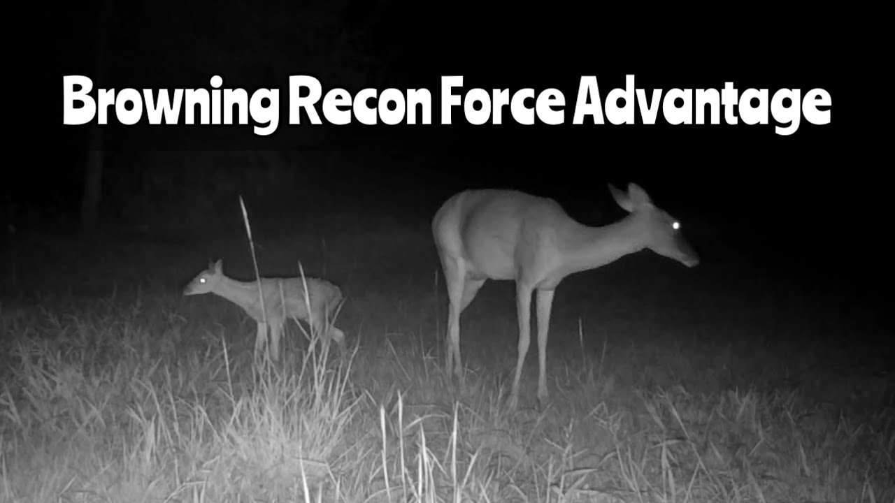 Browning Recon Force Advantage Trail Camera June 21-30, 2023 - YouTube