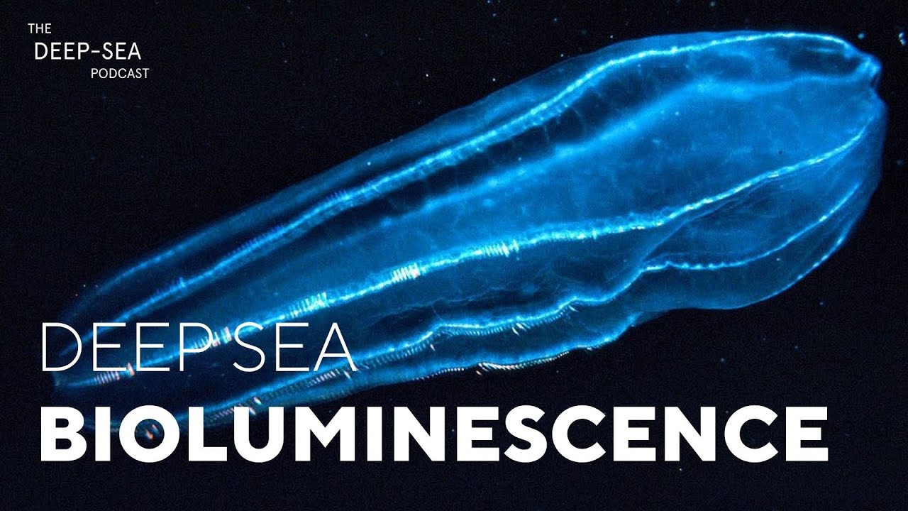 Bioluminescence with Edie Widder - The Deep-Sea Podcast episode 25 ...