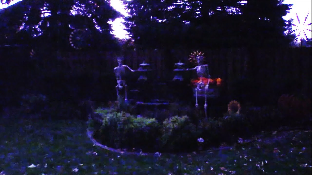 Optical Illusion, or are the skeleton's moving towards you? - YouTube