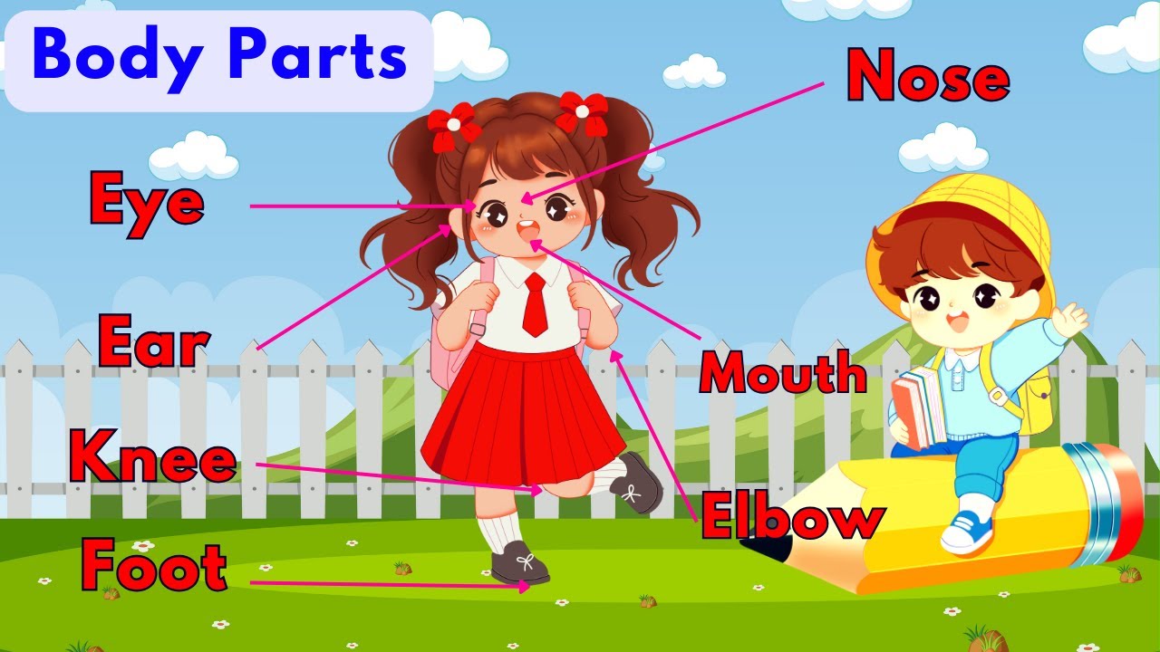 Educational Body Parts Video for Kids | Learn About the Human Body ...