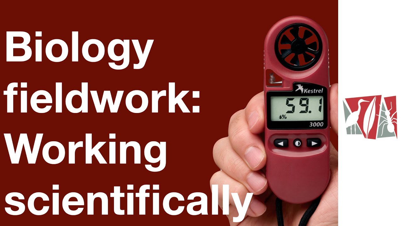 Biology Fieldwork video 4: Working scientifically - YouTube
