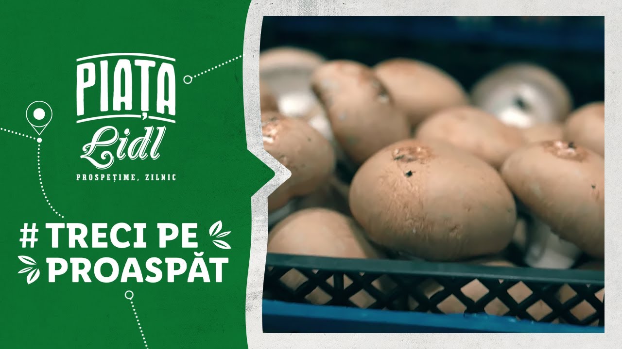 Producatorul Boglar Champ • Piata Lidl - YouTube
