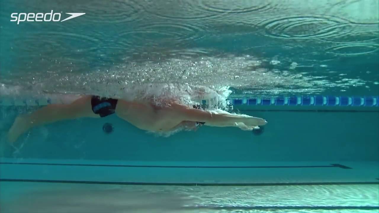 Butterfly Swimming Technique Stroke - YouTube