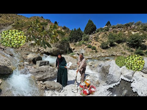 Zagros Dağları'nda doğal tuz ve yabani armut hasadının sırrı | Göçebe seyahat