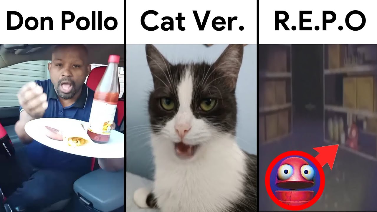 Bla Bla Bla Ble Ble Ble Blu Blu Blu Don Pollo vs Cat Version vs R.E.P.O ...