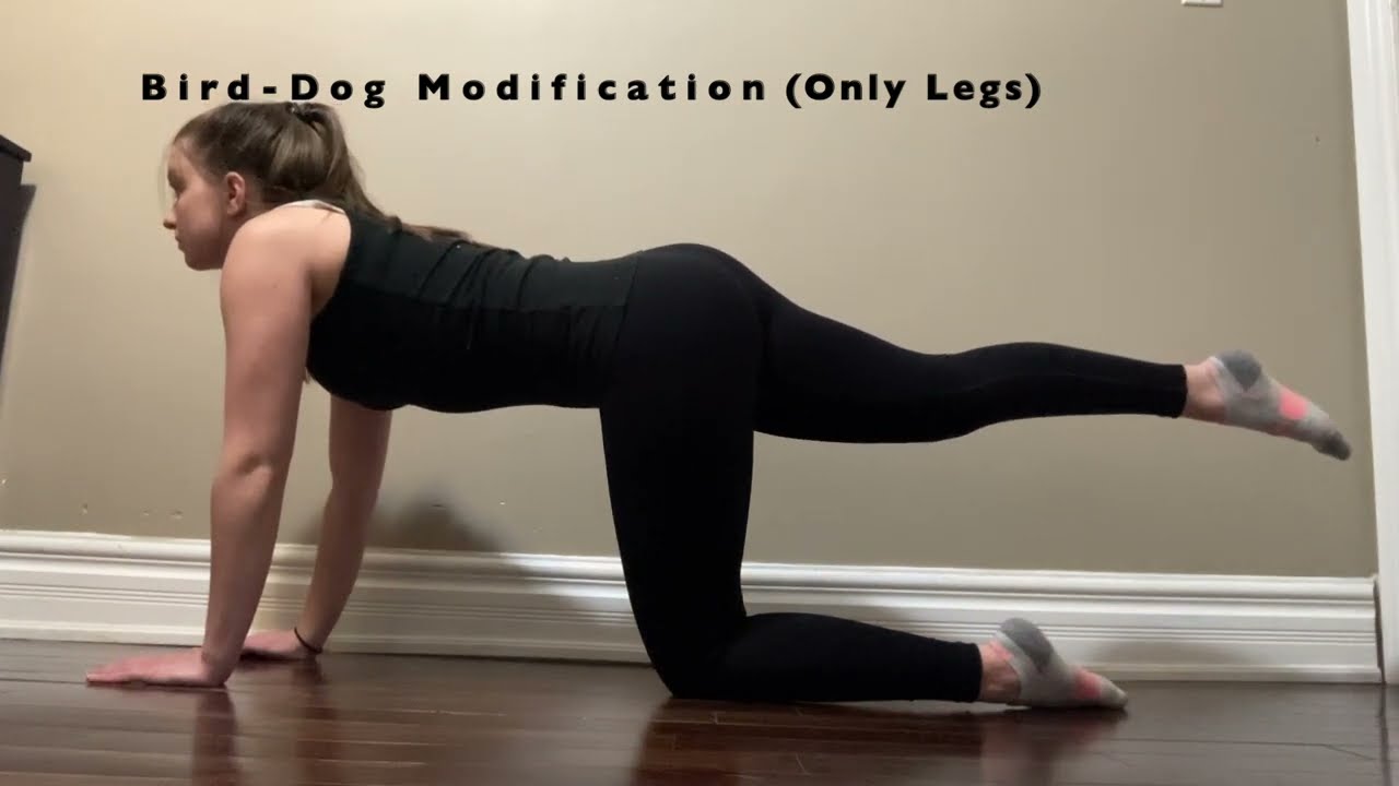 McGill Big 3 Exercises - YouTube