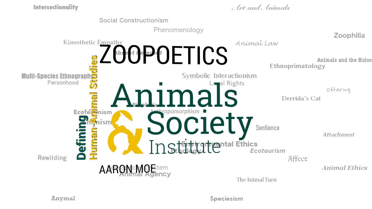 Defining Zoopoetics with Aaron Moe - ASI's Defining Human-Animal ...