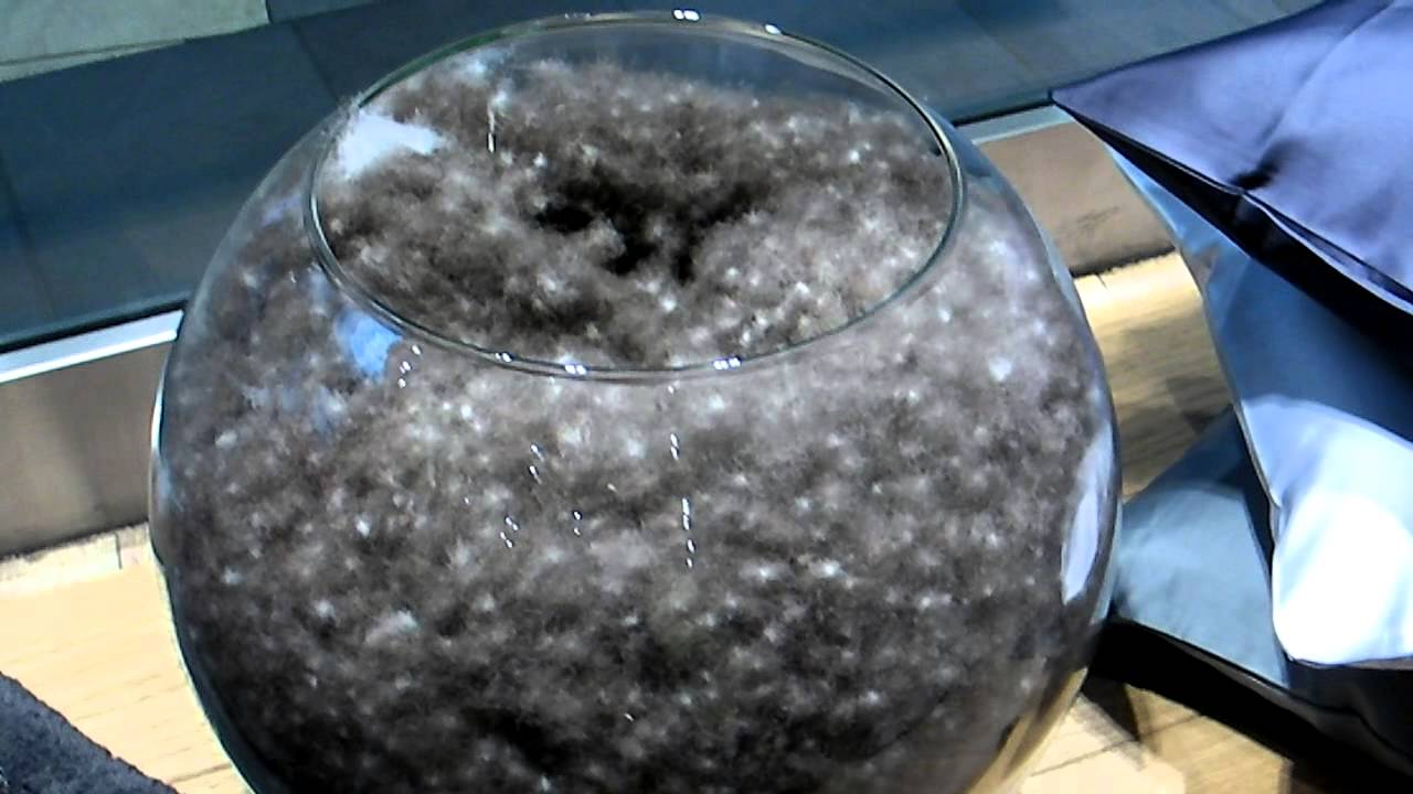 Masurian Geese, Poland ... goose down-gęsi puch - YouTube