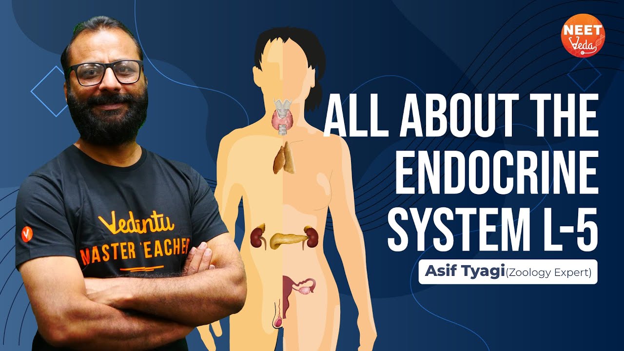 All about the Endocrine system L-5 | Human Endocrine System | NEET ...