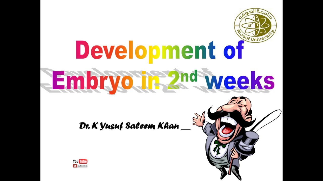 Development during the second week of development || Dr. Yusuf || - YouTube