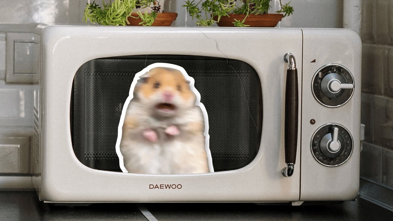 Aquella vez que científicos reanimaron hamsters con un microondas - YouTube