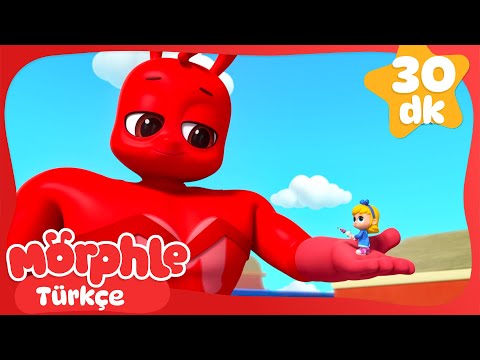 Dev Hayvanlar 🗿 | Çocuk Çizgi Filmleri | Morphle Türkçe