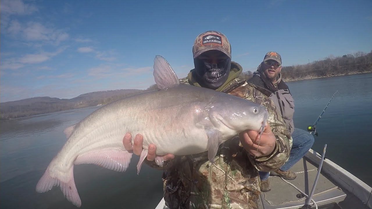 Suspend Drifting for Catfish in the Winter - YouTube