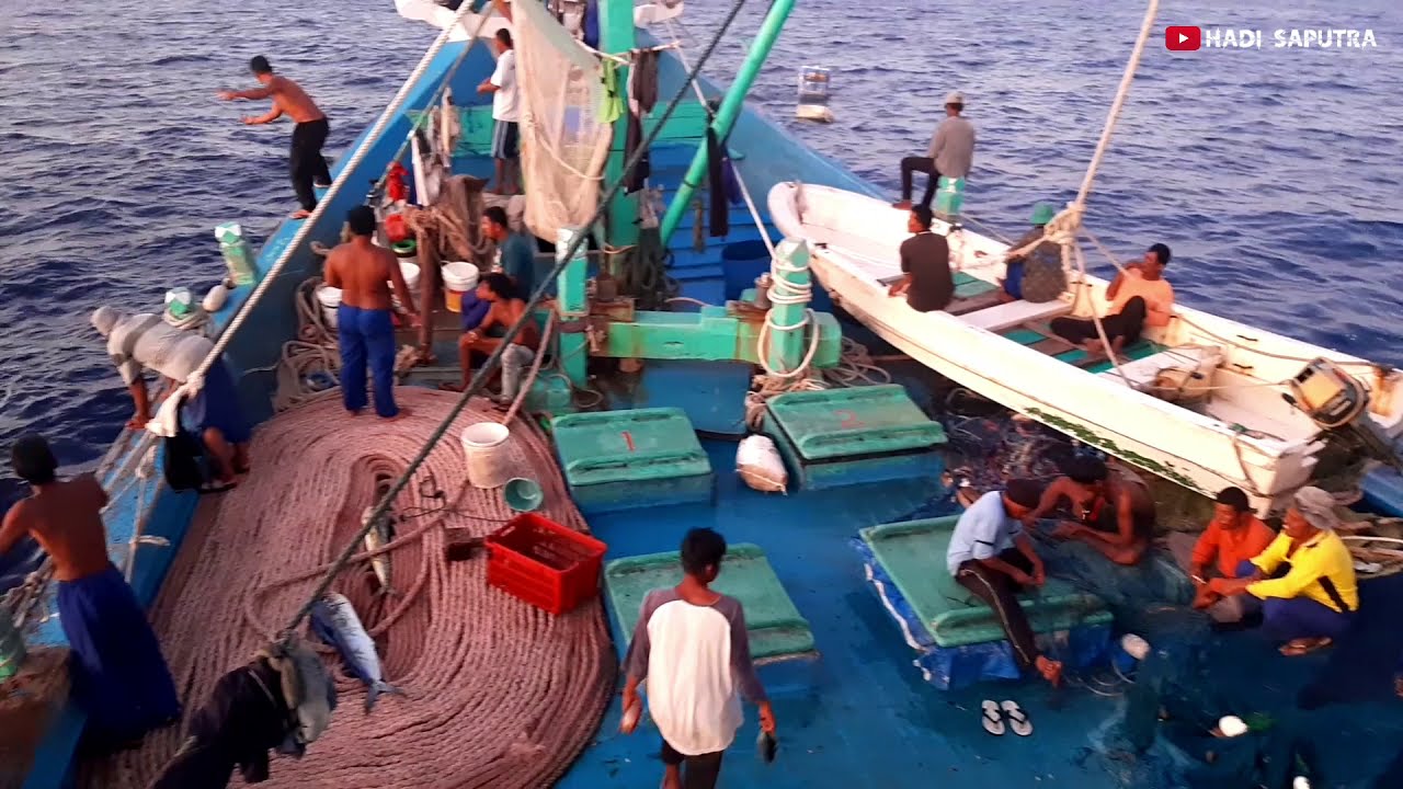 Mancing ikan mahi mahi atau ikan lemadang di tengah laut - YouTube