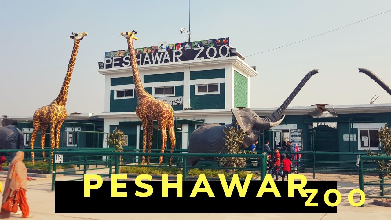 Peshawar Zoo 2020 | Peshawar Zoo Elephants | Peshawar Zoo Motion Ride ...