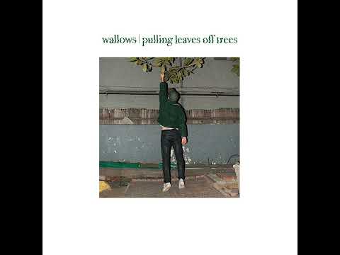 Pulling Leaves Off Trees - Wallows | Instrumental