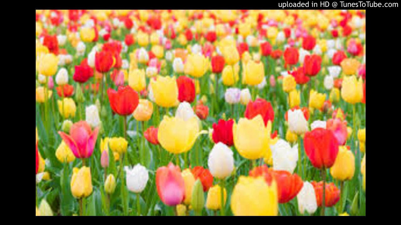 Over and Out (Feat. Charlott Boss)(PagalWorld) - YouTube