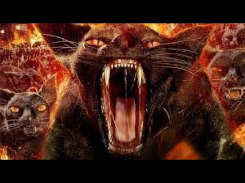 AGASOBANUYE GASHYA 2022 LOST IN THE PACIFIC IMPANUKA YINDEGE   BY ROCKY KIRABIRANYA