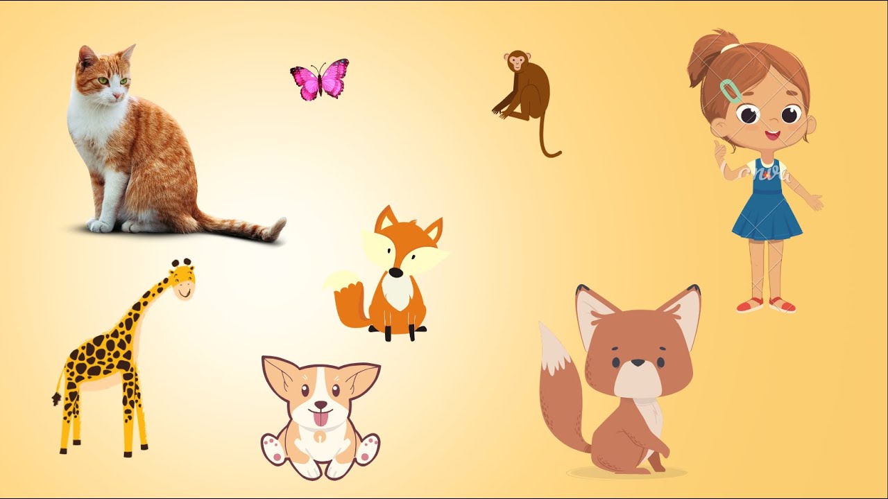 cutest baby animals in the world, Explaining a cute girl - YouTube