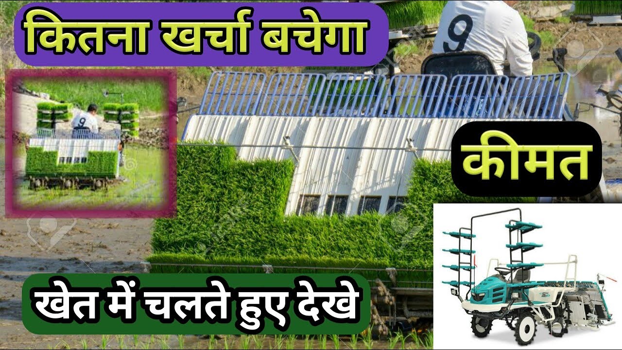 रोपाई मशीन कितना सफल |Rice Transplanter Machine|Dhan Ki Kheti - YouTube